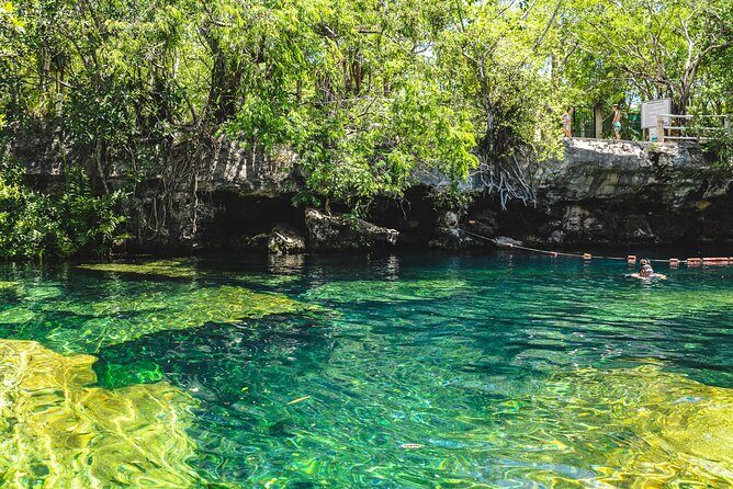 Private Cave Cenote, Open Cenote and Lunch Tour - What Travelers Are Saying