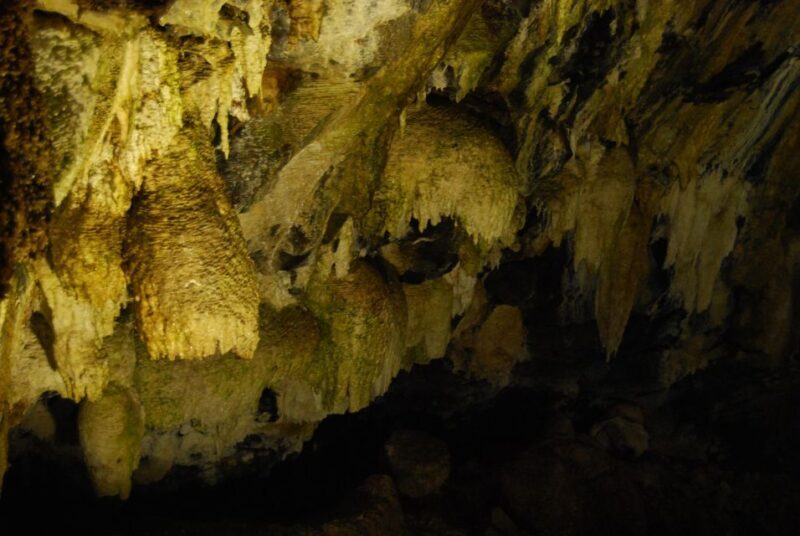 Private Caves tour with a Geologist - A Deep Dive into the Azores Volcanic Caves with a Geologist