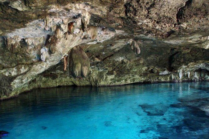 Private Cenote & Cave  Playa del Carmen, Mayan Culture & Fossils - Why This Tour Is Great Value