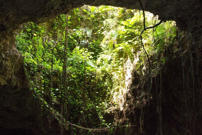 Private Cenotes Puerto Morelos - An In-Depth Look at the Experience