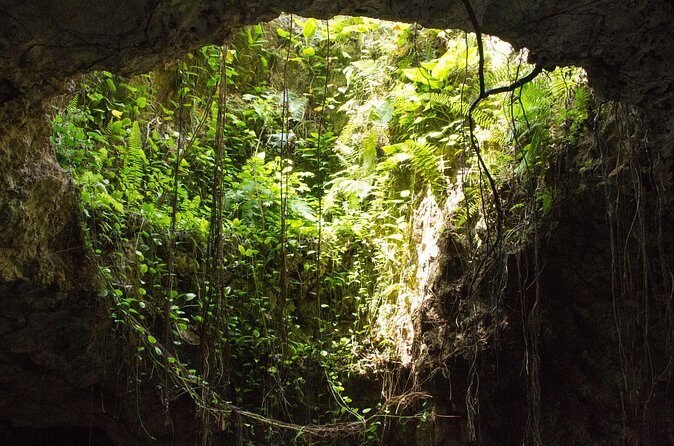 Private Cenotes Puerto Morelos - Practical Details