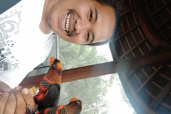 Private Central Bali Tour - A Practical Look at the Private Central Bali Tour