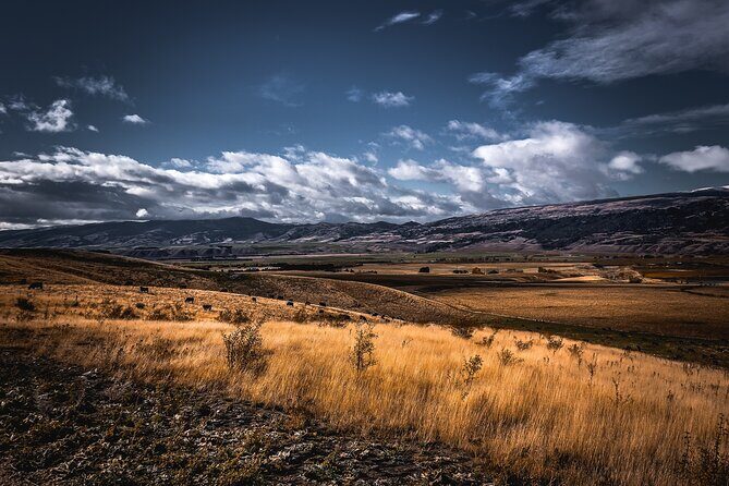Private Central Otago Wine tasting Tour with Gourmet Lunch. - The Heart of the Day: Gourmet Lunch in Cromwell