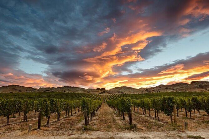 Private Central Otago Wine tasting Tour with Gourmet Lunch. - Final Boutique Vineyards and Arrowtown