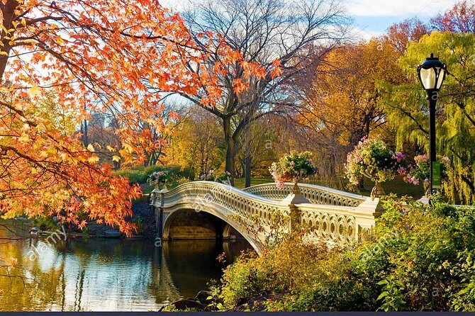 Private Central Park Walking Guided Tour - A Closer Look at the Tour Structure