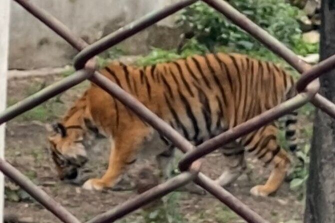 Private Central Zoo Tour in Kathmandu - Key Points