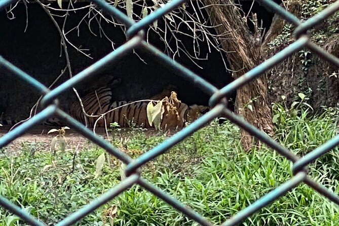 Private Central Zoo Tour in Kathmandu - A Detailed Look at the Itinerary