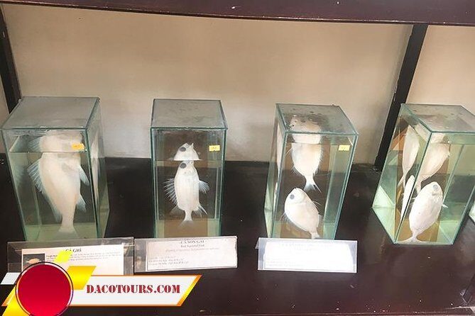 Private Cham Island Snorkeling Tour, Nice Beach, Fishing villages - FAQ