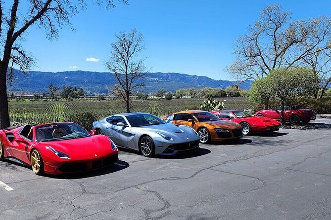 Private Champagne and Wine Tour to Sonoma and Napa - An In-Depth Look at the Tour Experience