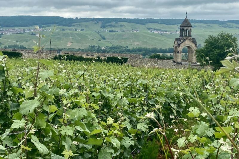 Private Champagne Moët Chandon Nicolas Feuillatte from Paris - Frequently Asked Questions