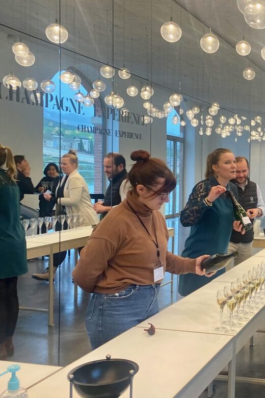 Private Champagne Moet Chandon, Pommery, Pressoria Day trip - Who Will Love This Experience?