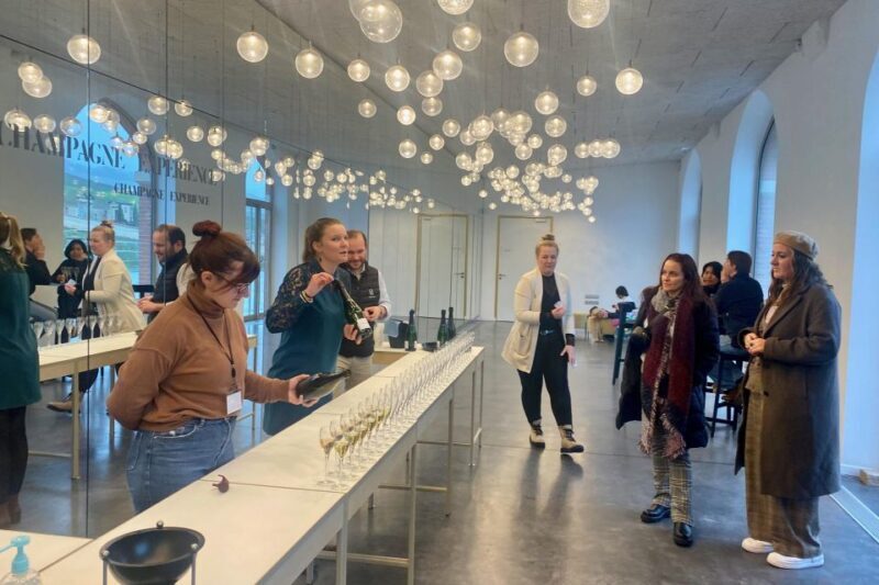 Private Champagne Moët et Chandon, Pommery, Pressoria - Inside the Tour: A Detailed Breakdown