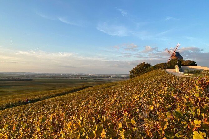 Private Champagne Tour: Iconic & Boutique Champagne+ restaurant - Why Travelers Rave About This Tour