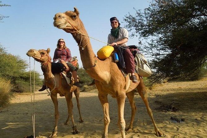 Private Chandigarh Day Trip from New Delhi - Introduction