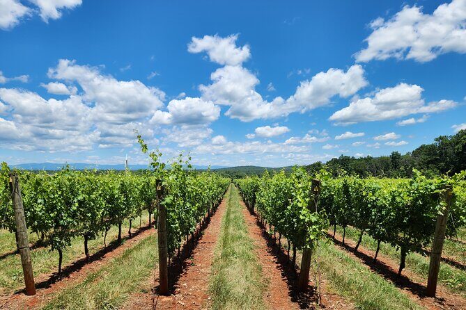 Private Charlottesville Area Wine Tour - Who Will Love This Tour?