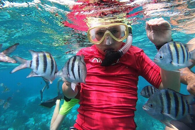 Private Charter 28ft Grady White. Stingrays, Snorkeling, Starfish - FAQ