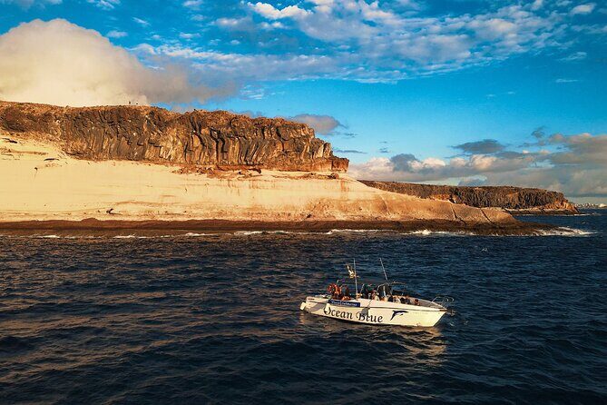private charter 3 Hours Whale Encounter puerto colon adeje - FAQ