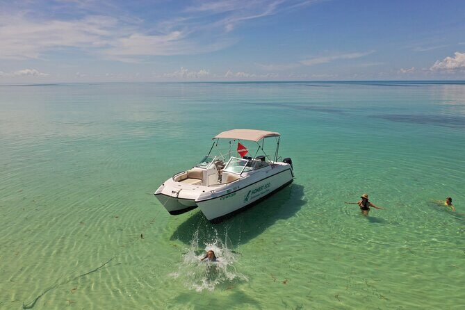 Private Charter 6 Passenger Sandbar, Snorkel, Dolphins - How the Experience Feels