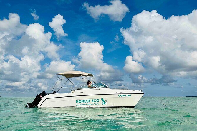 Private Charter 6 Passenger Sandbar, Snorkel, Dolphins - Final Thoughts: Who Is This Tour Perfect For?