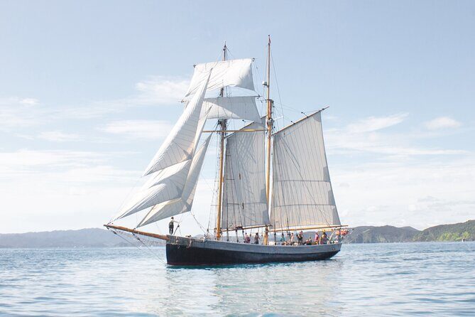 Private Charter Bay of Islands - Who Will Enjoy This Tour?