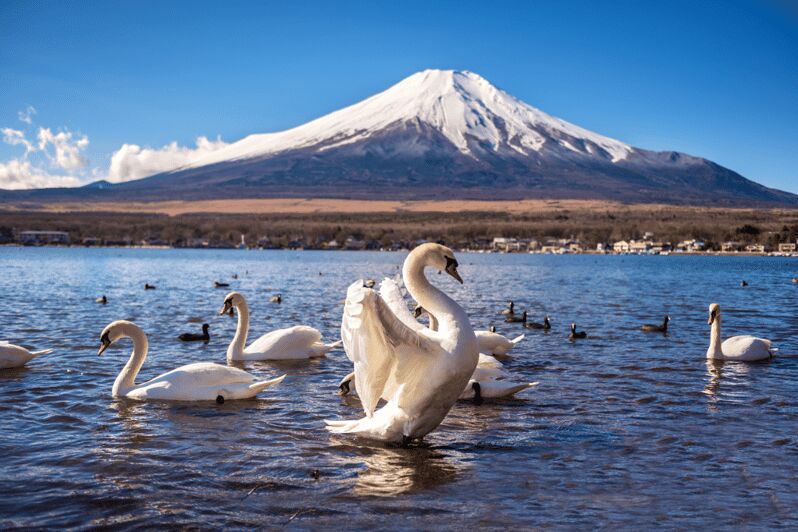 Private charter car one day trip for Mt fuji - Final Thoughts