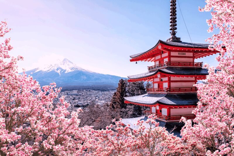 Private charter car one day trip for Mt fuji - Frequently Asked Questions