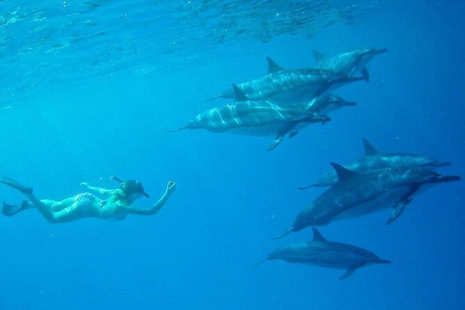 Private Charter: Customizable Big Island Boat Adventure - Final Thoughts: Who Should Book This?