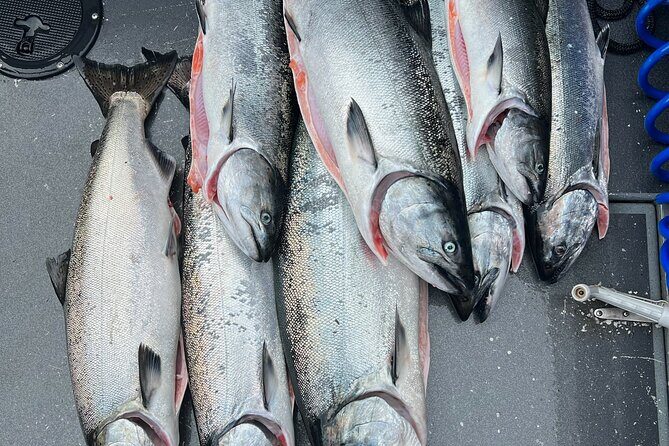 Private Charter Fishing - Full Port Time for Cruise Ship Guests - The Experience: What to Expect on This Sitka Salmon Fishing Tour