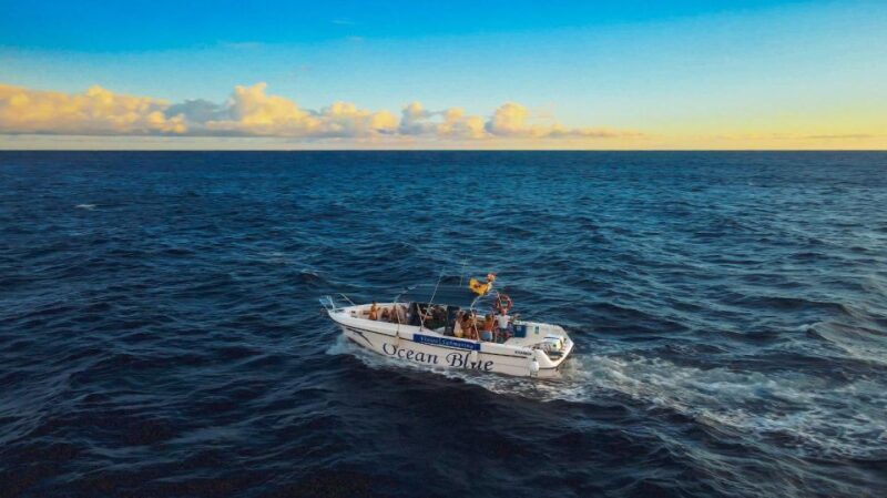 Private Charter Private Charter to see the whales - 2 Hours - Exploring Tenerife’s Marine Life: A Deep Dive into the Private Whale Watching Tour