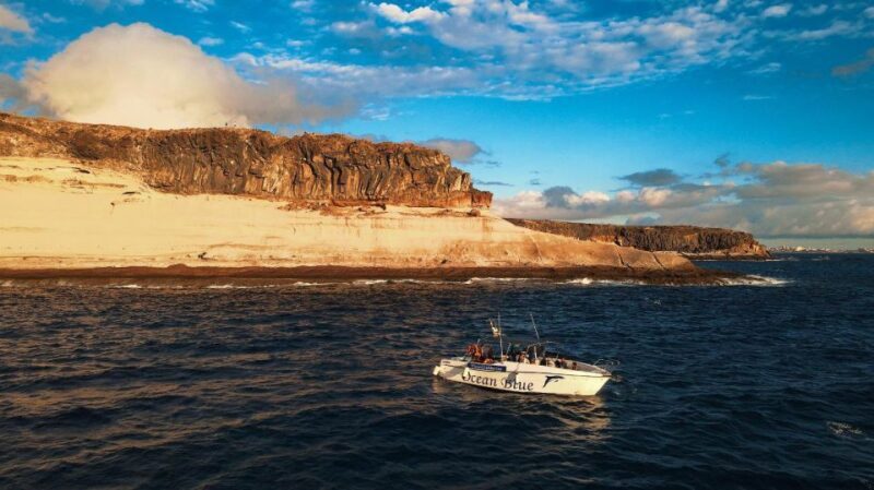 Private Charter Private Charter to see the whales - 2 Hours - The Itinerary Breakdown: Why It Matters