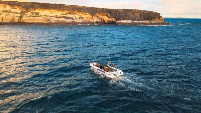 Private Charter Private Charter to see the whales - 2 Hours - What Travelers Say: Authentic Perspectives