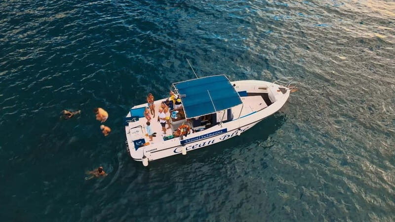 Private Charter Private Charter to see the whales - 3 Hours - Your 3-Hour Private Whale Watching Adventure