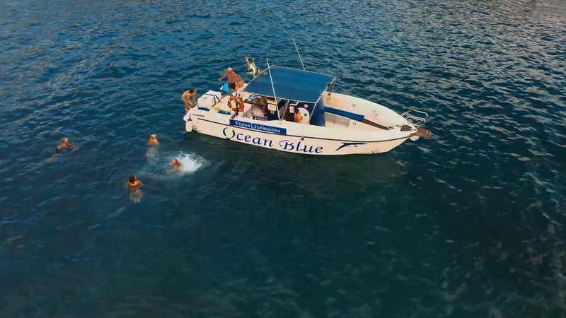 Private Charter Private Charter to see the whales - 3 Hours - Practical Information and Tips
