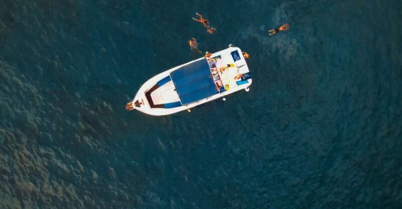 Private Charter Private Charter to see the whales - 3 Hours - FAQ