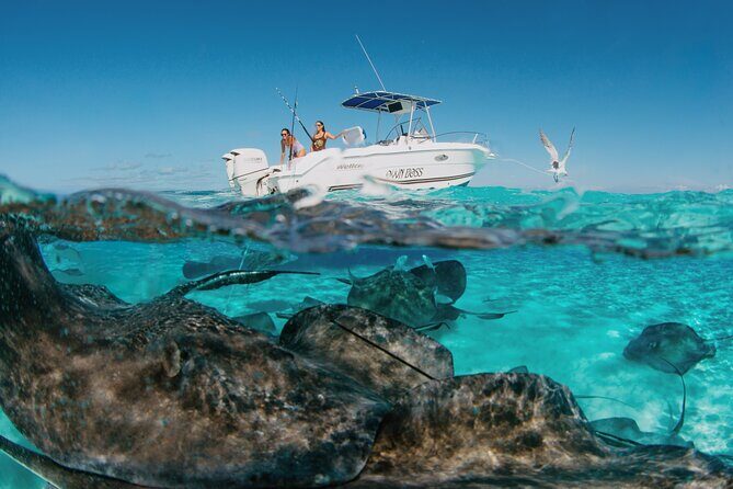 Private Charter Reef fishing, Stingray City, Snorkel, Mangroves - An In-Depth Look at the Tour Itinerary
