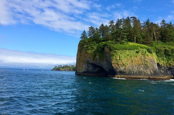 Private Charter Scenic Wildlife Excursion for Cruise Passengers - The Value: How This Tour Stands Out
