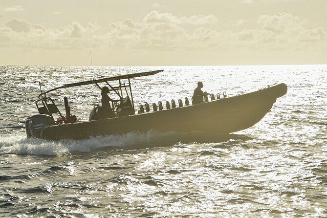 Private Charter Sunset Sailing Cruise W Drinks - An In-Depth Look at What to Expect