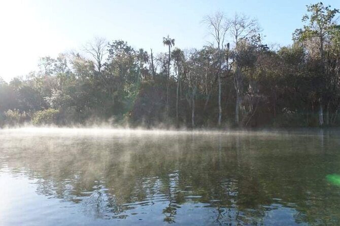 Private Chassahowitzka River Exploration kayak tour - Meeting Point and Logistics