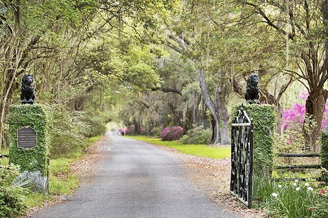 Private Chauffeur & Admission to Middleton & Magnolia Plantation + Box Lunch - The Full Experience: A Close Look at the Itinerary