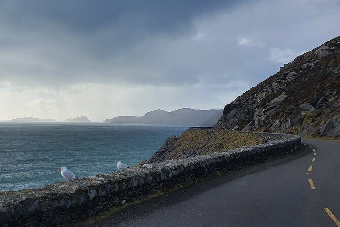 Private Chauffeur Service From Galway City to Dublin Airport - The Sum Up