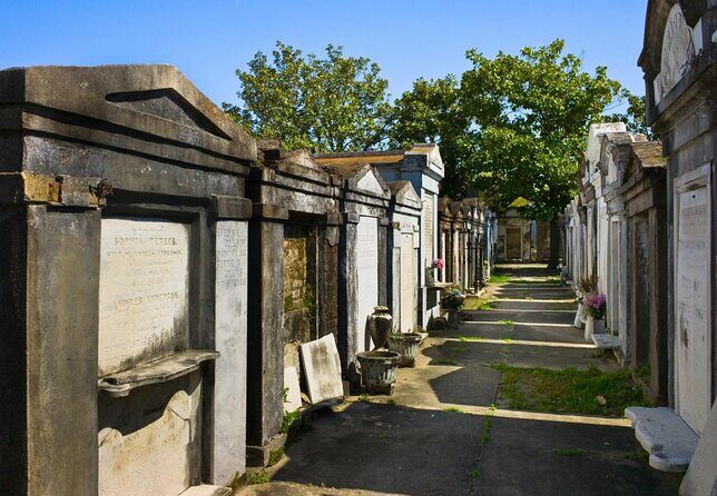 Private Chauffeured and Historian Guided City Tour of New Orleans - Key Points