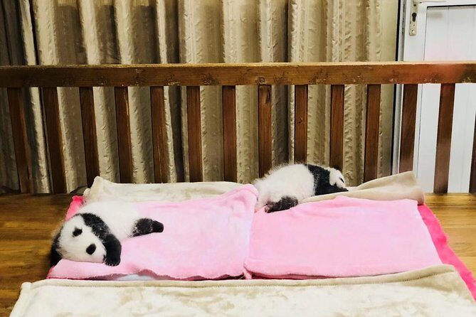 Private Chengdu City Highlight Day Tour - FAQ: Your Questions Answered