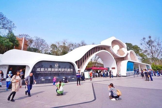 Private Chengdu Panda Breeding Center Day Trip With From Xi'an By Bullet Train - Why This Tour Offers Good Value