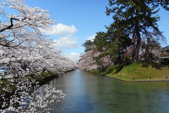 Private Cherry Blossom Tour in Hirosaki with a Local Guide - Frequently Asked Questions