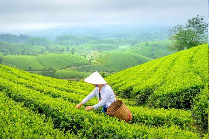 Private Chiang Rai Day Trip with Golden Triangle from Chiang Mai - The Value of a Private Guided Tour