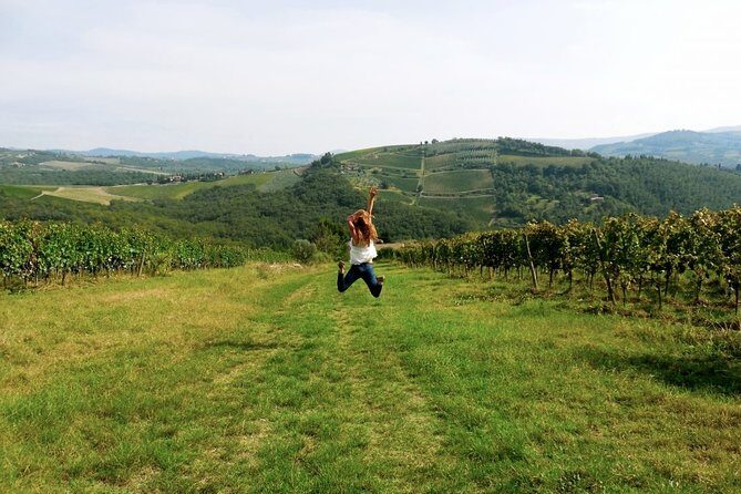 Private Chianti and SuperTuscan Tour 2 wineries with Light Lunch from Livorno - The Experience: A Full Breakdown