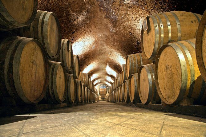 Private Chianti and SuperTuscan Tour 2 wineries with Light Lunch from Livorno - Who Will Love This Tour?