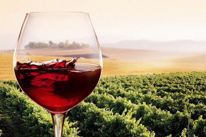 Private Chianti Classico Tour with wine and food tasting in a Historic Estate - Final Thoughts