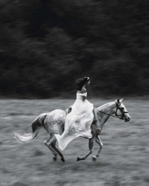 Private Chianti Horseback Riding Wine Tasting + Lunch - Key Points