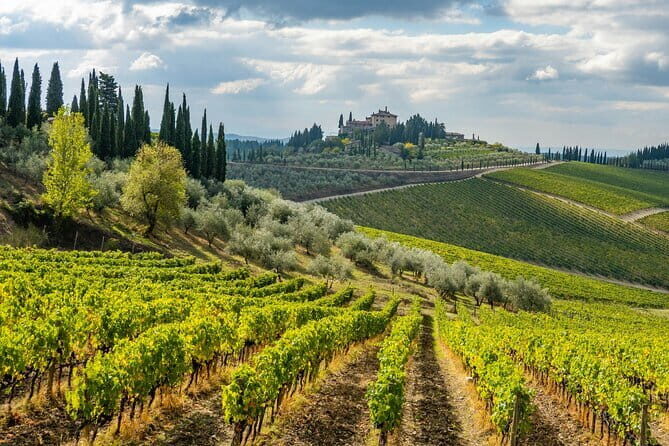 Private Chianti Safari: Off Road Tuscany Wine Tour with Lunch from Florence - FAQ